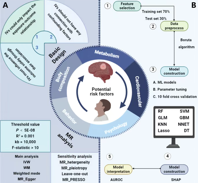 GBD＋NHANES＋MR＋机器学习齐上阵，拿下一区Top - 风暴统计